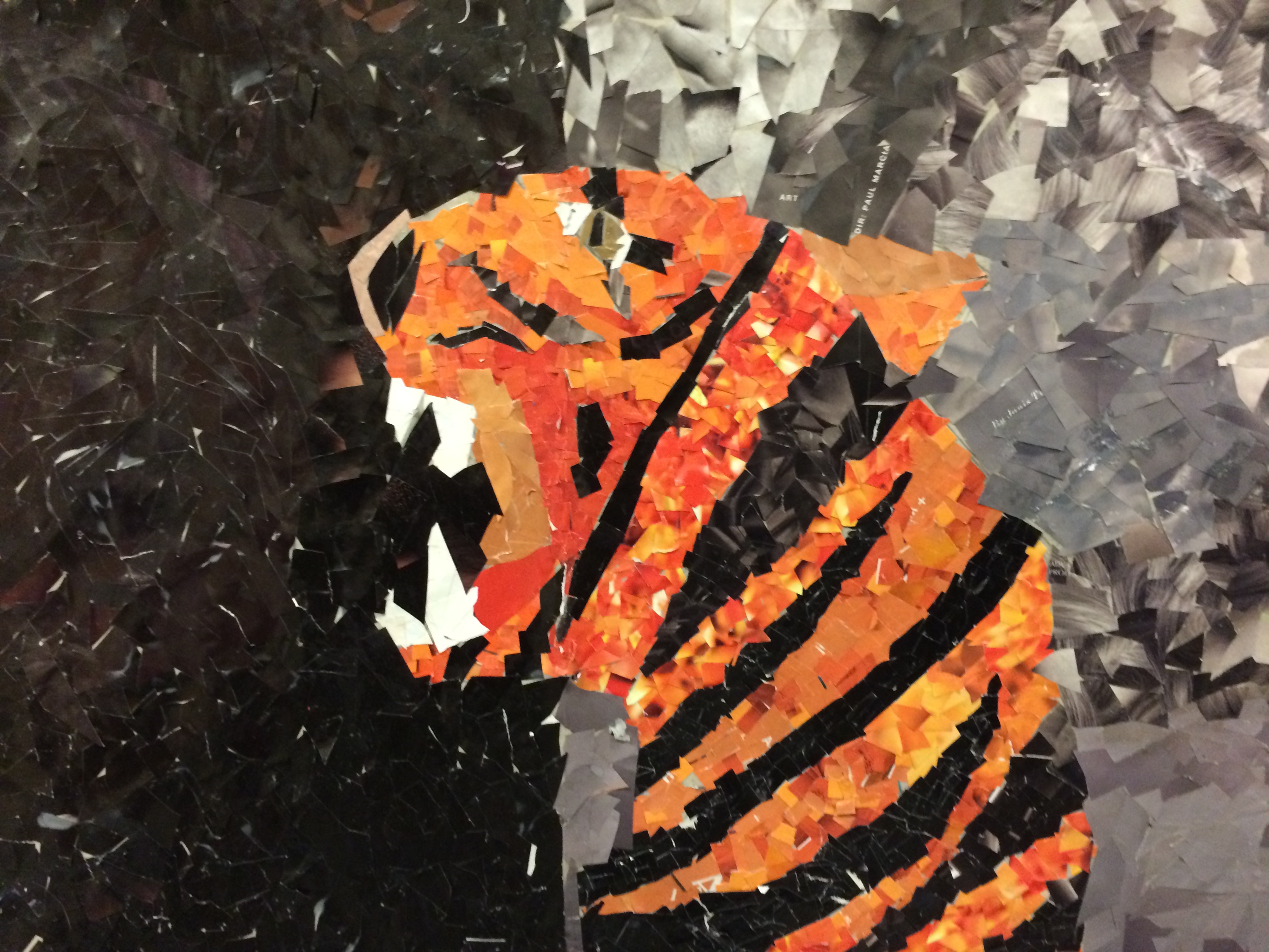 Images - Thumbnails - École Larson Elementary